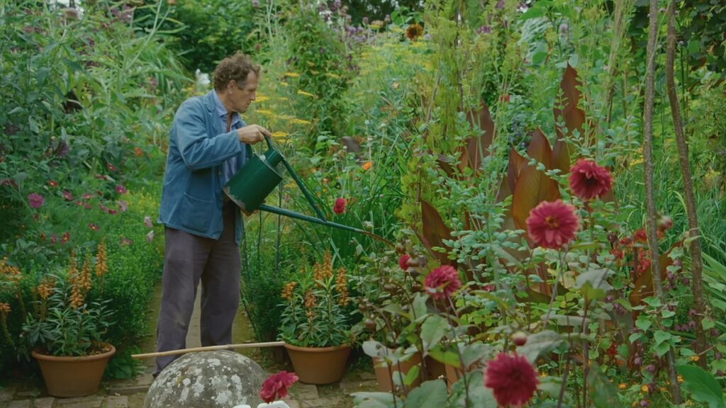 All3Media Launches Free British TV FAST Channels - BritishTV.com